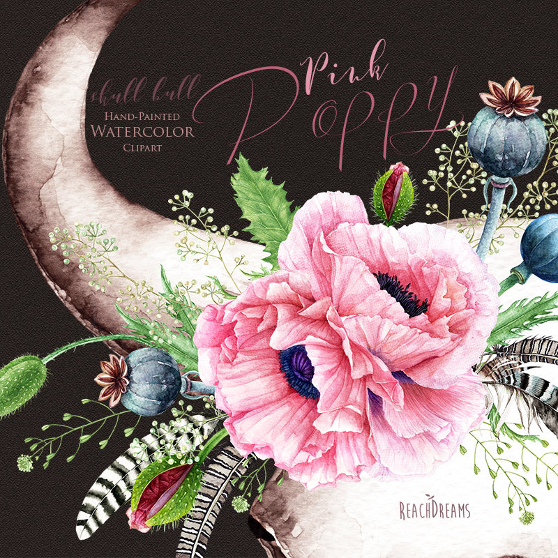 Watercolor Skull Bull Pink Poppy, Handpainted Frames, Poppies Flowers ...