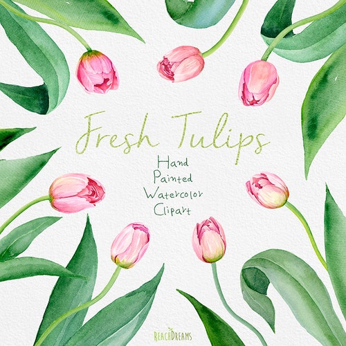 Watermelon Clipart Hand Painted Watercolor Fruit Clipart | Etsy