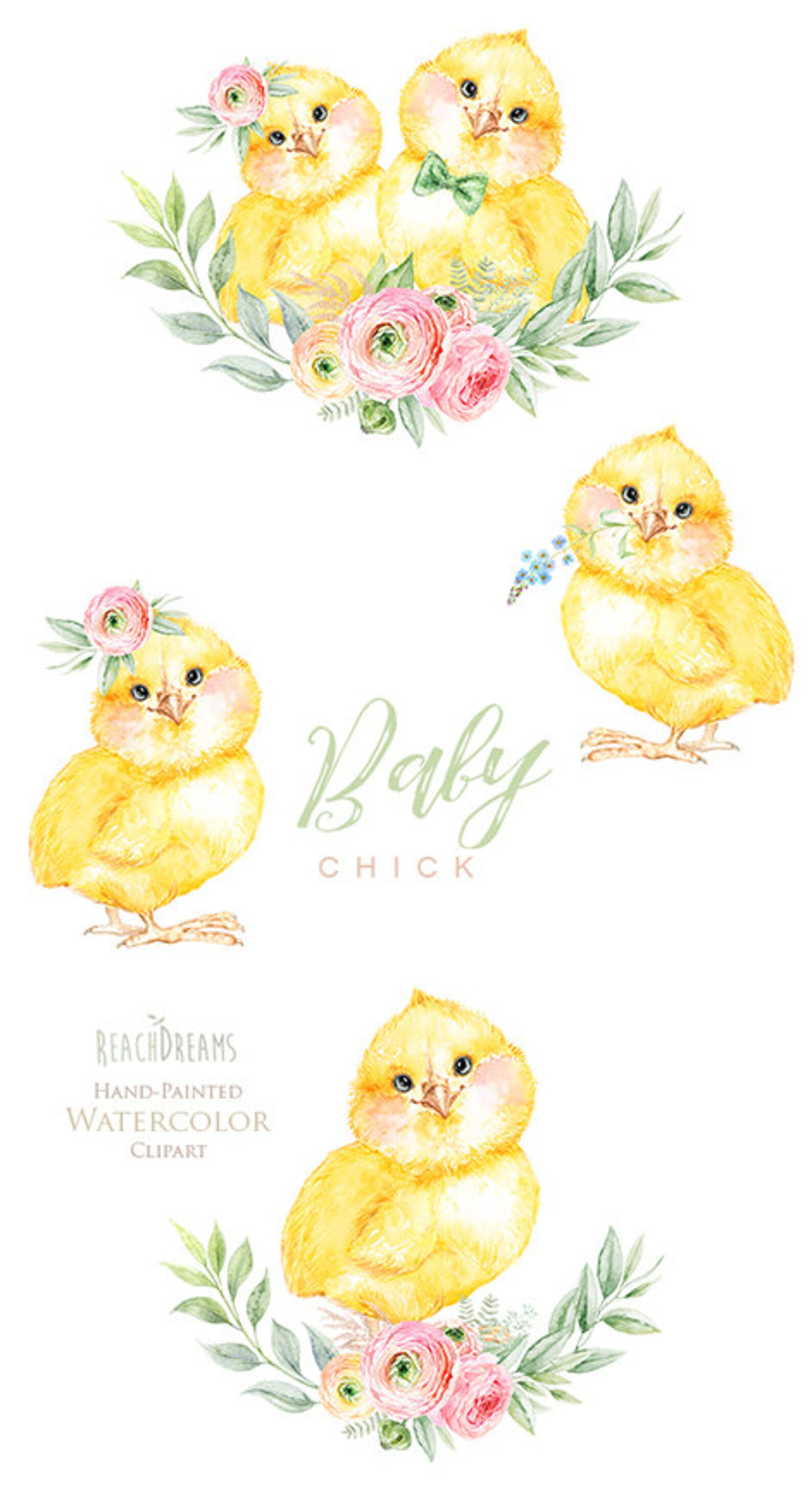 Watercolor Chick Clipart Little Animals Floral Spring - Etsy