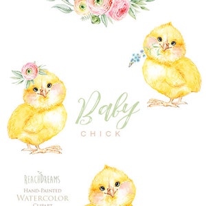 Watercolor Chick Clipart, Little Animals, Floral, Spring Chickens ...