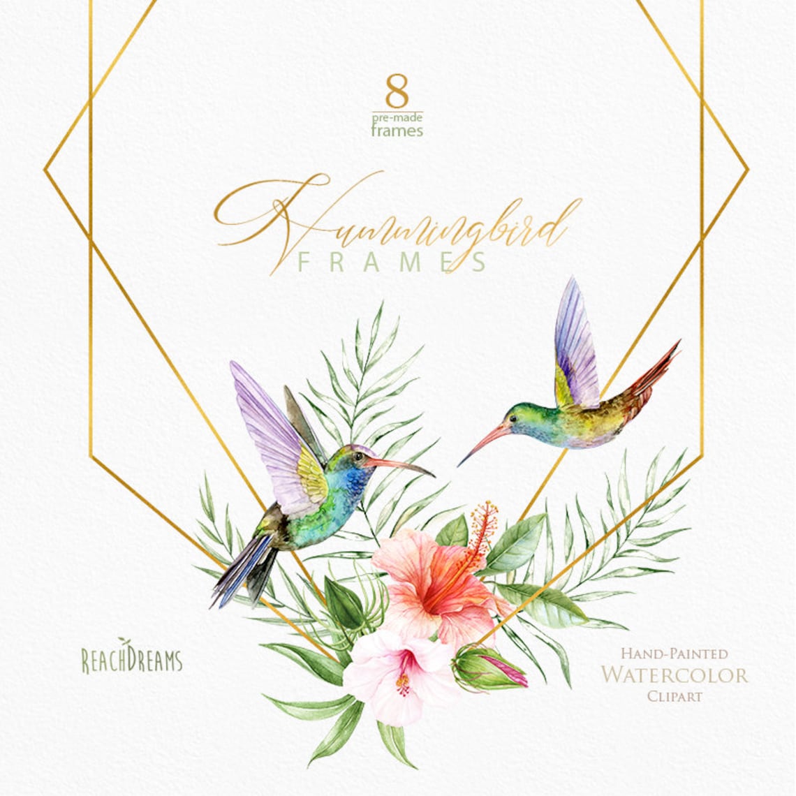 Hummingbirds Frames Watercolor Clipart Geometric Exotic - Etsy