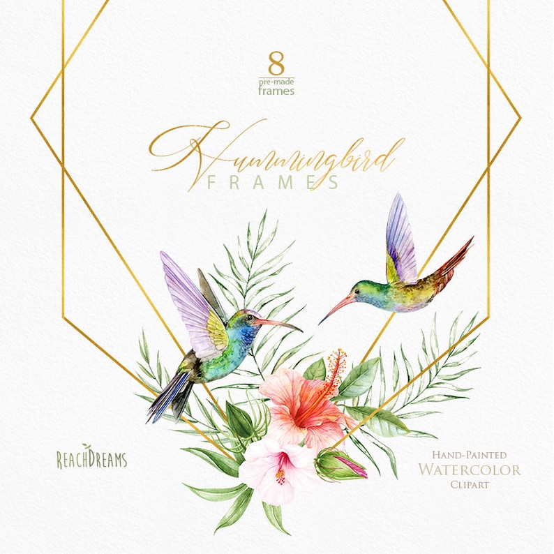 Colibríes marcos imágenes prediseñadas de acuarela - Etsy España