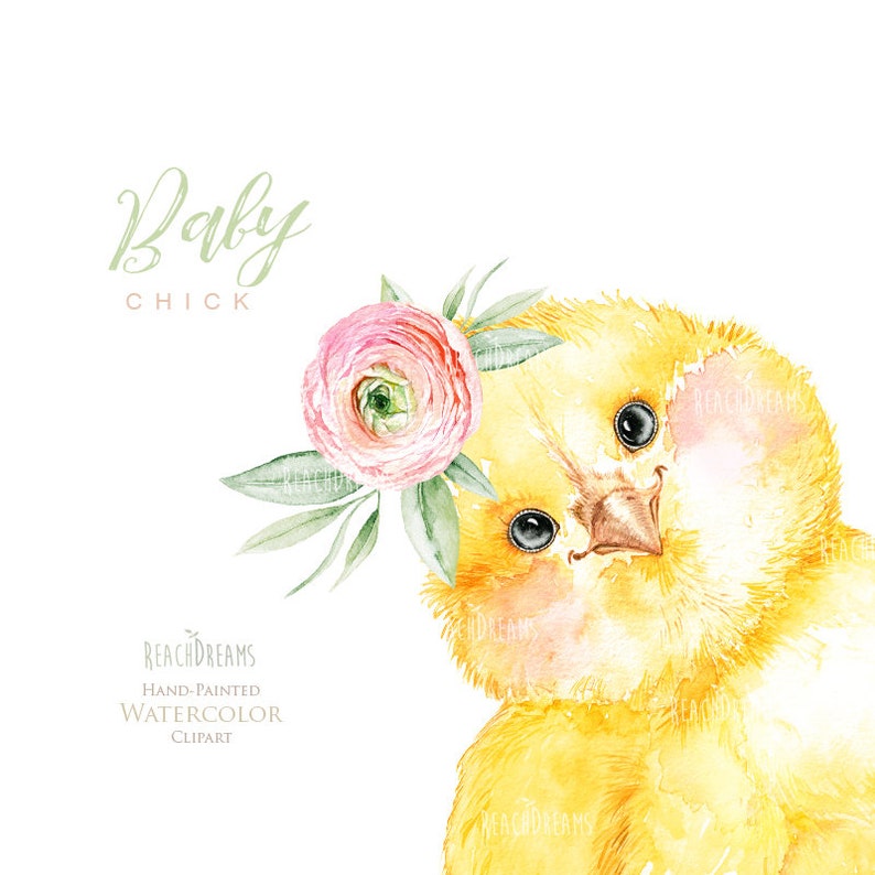 Watercolor Chick Clipart Little Animals Floral Spring - Etsy