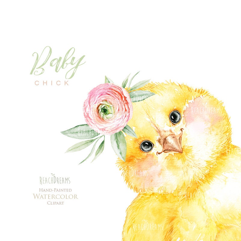 Watercolor Chick Clipart Little Animals Floral Spring - Etsy