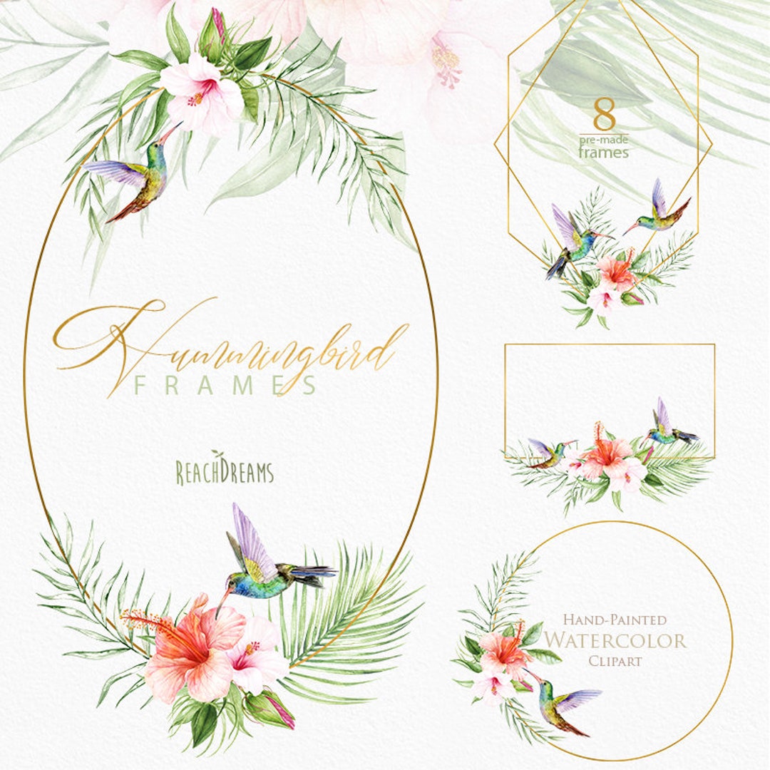 Hummingbirds, Frames, Watercolor Clipart, Geometric, Exotic Birds ...