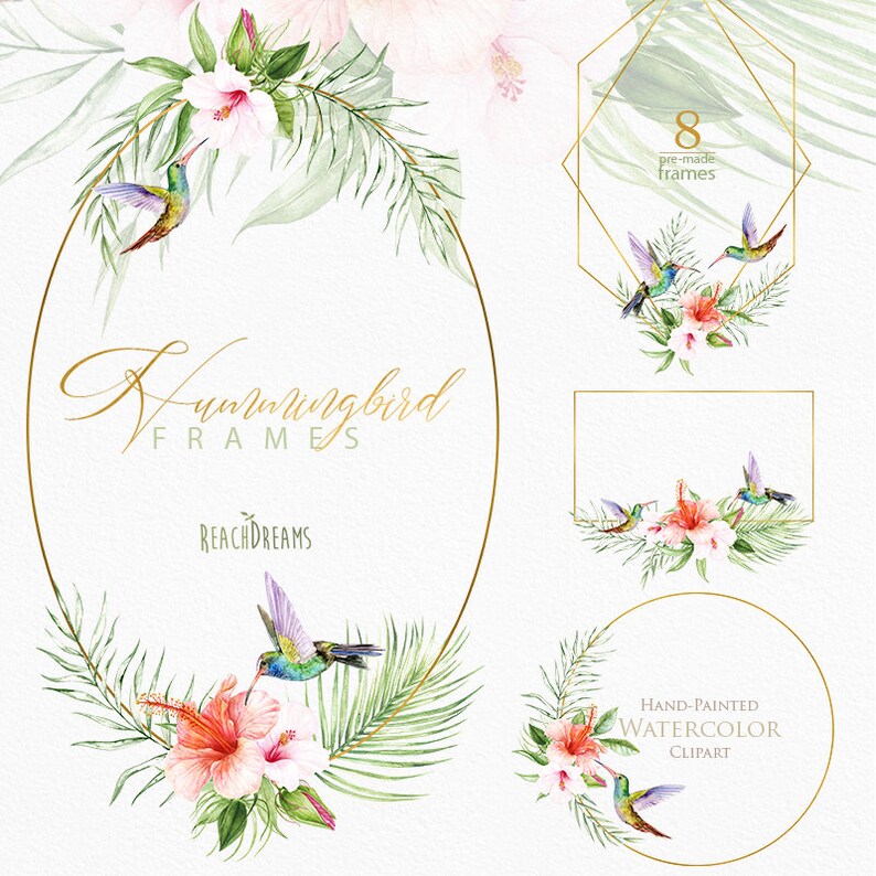 Hummingbirds Frames Watercolor Clipart Geometric Exotic - Etsy