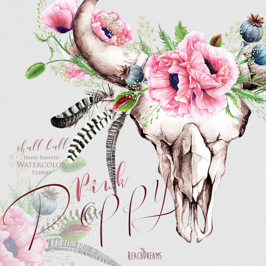 Watercolor Skull Bull Pink Poppy, Handpainted Frames, Poppies Flowers ...