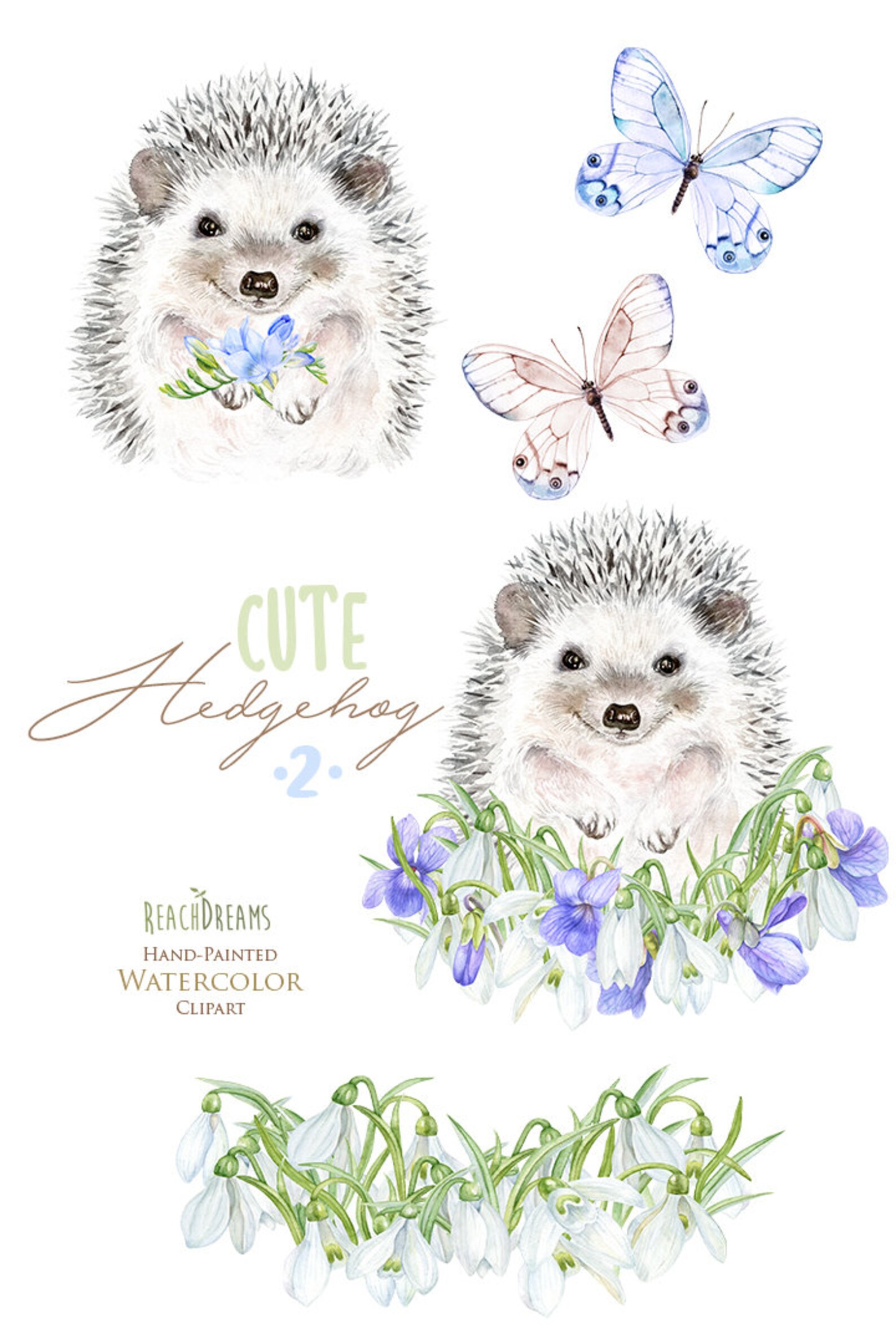 Hedgehog Cute Little Animals Watercolor Clipart Nursery - Etsy