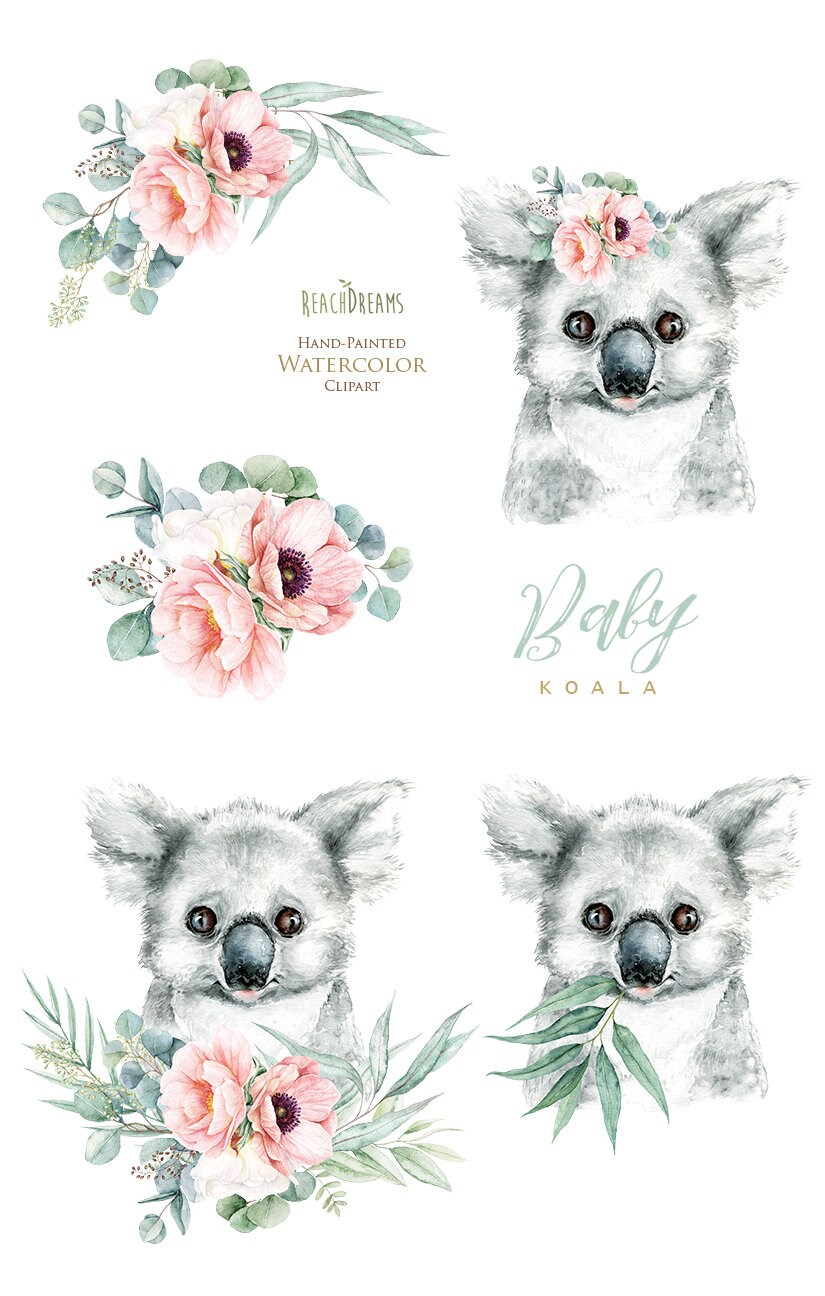 Watercolor Koala. Little Animals Clipart, Babies Portrait, Australia ...