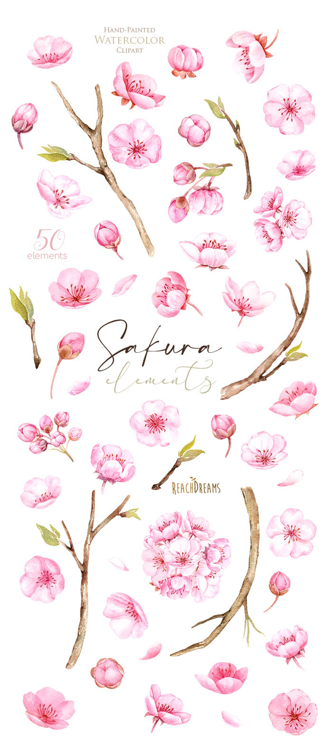 Sakura Elements. Watercolor Floral Clipart, Cherry Blossom, Pink ...