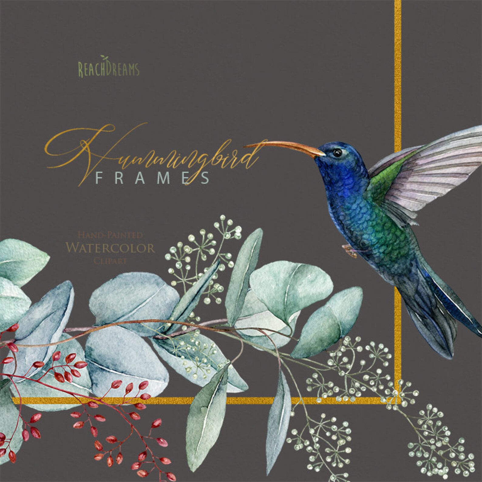 Hummingbirds Frames Watercolor Clipart Geometric Exotic - Etsy