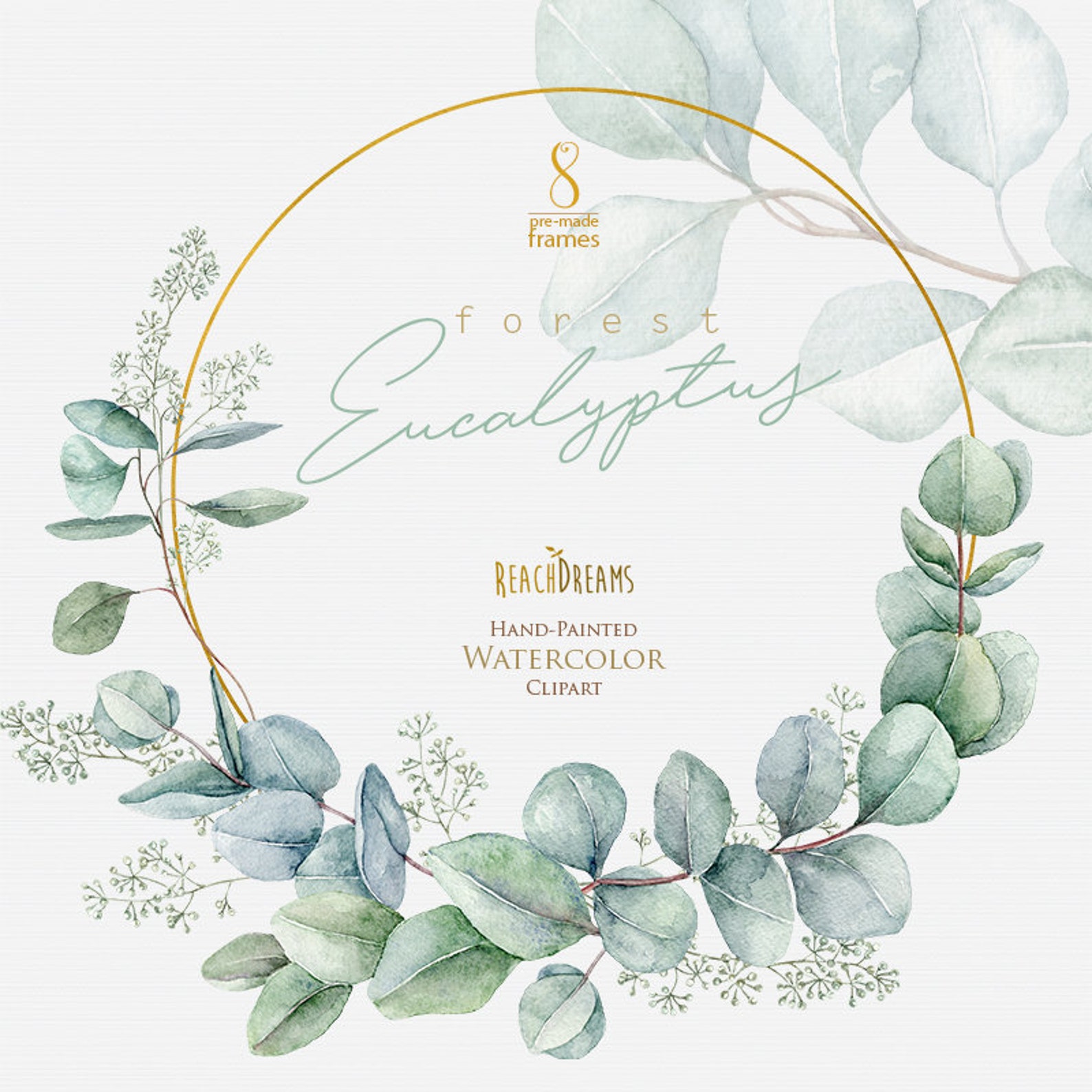 Eucalyptus Frames Watercolor Geometric Floral clipart | Etsy