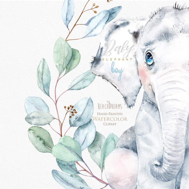 Watercolor Elephant, Boy, Little Animals Clipart, Babies Portrait, Cub ...