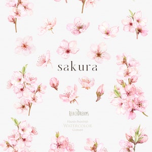 Watercolor Cherry Blossoms Clipart, Sakura Clipart, Floral Branches ...