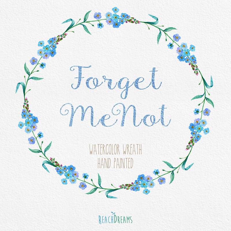 Forget Me Not Flower - Etsy