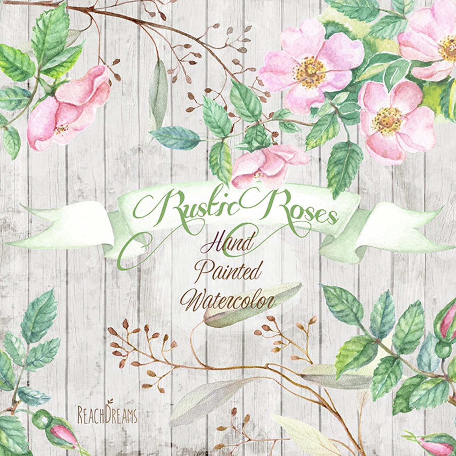 Roses Hand Drawn Clipart Watercolor Spring Flower Clipart | Etsy