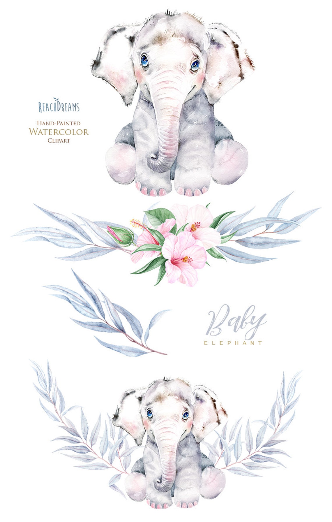 Watercolor Elephant Little Animals Clipart Babies Portrait - Etsy
