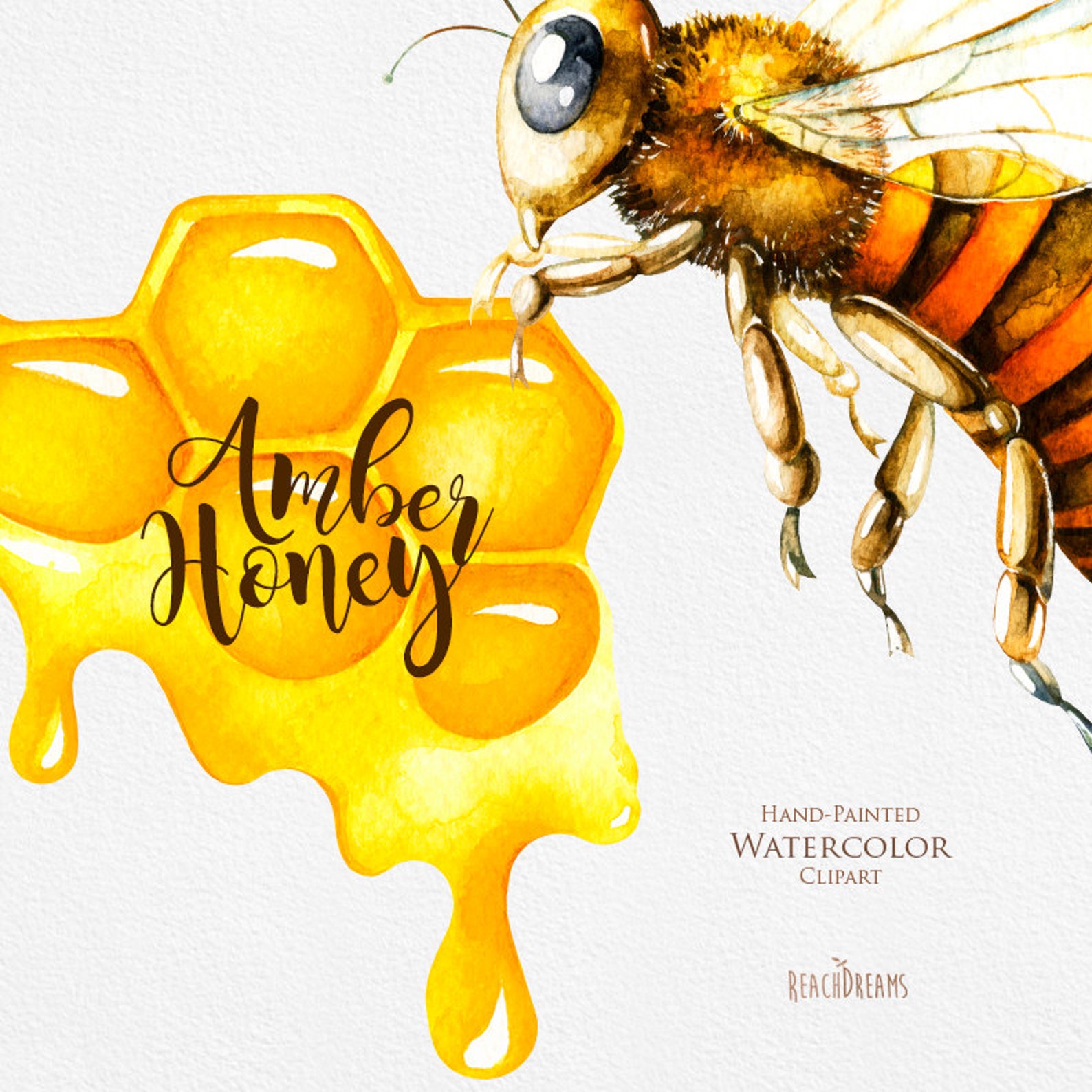 Watercolor Honey Bee Clipart Honeycomb Hand Painted Digital - Etsy
