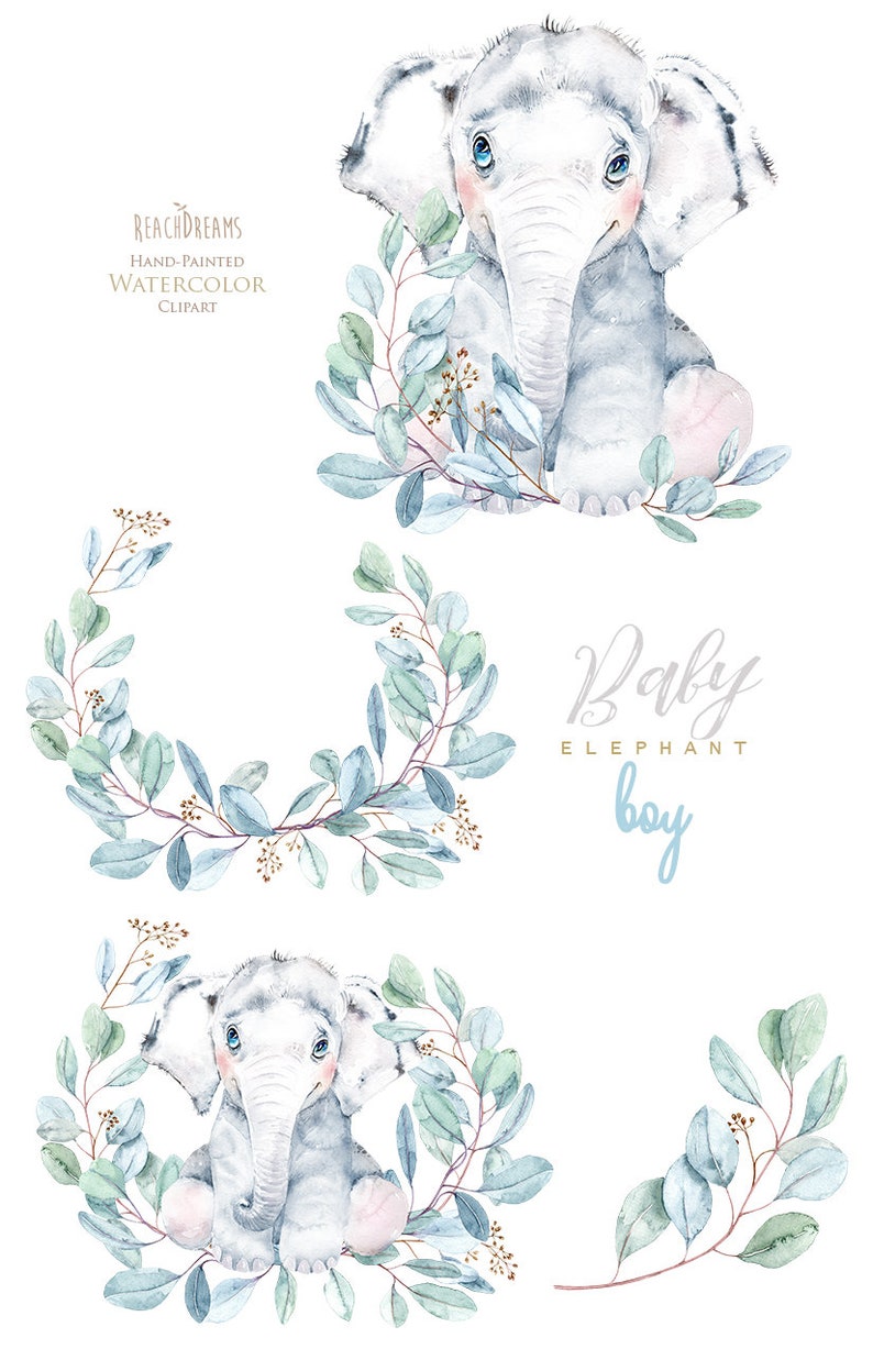 Watercolor Elephant Boy Little Animals Clipart Babies - Etsy