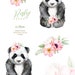 Watercolor Panda, Little Animals Clipart, Babies Portrait, Cub, Tropics ...