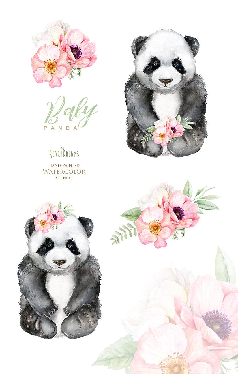 Watercolor Panda, Little Animals Clipart, Babies Portrait, Cub, Tropics ...