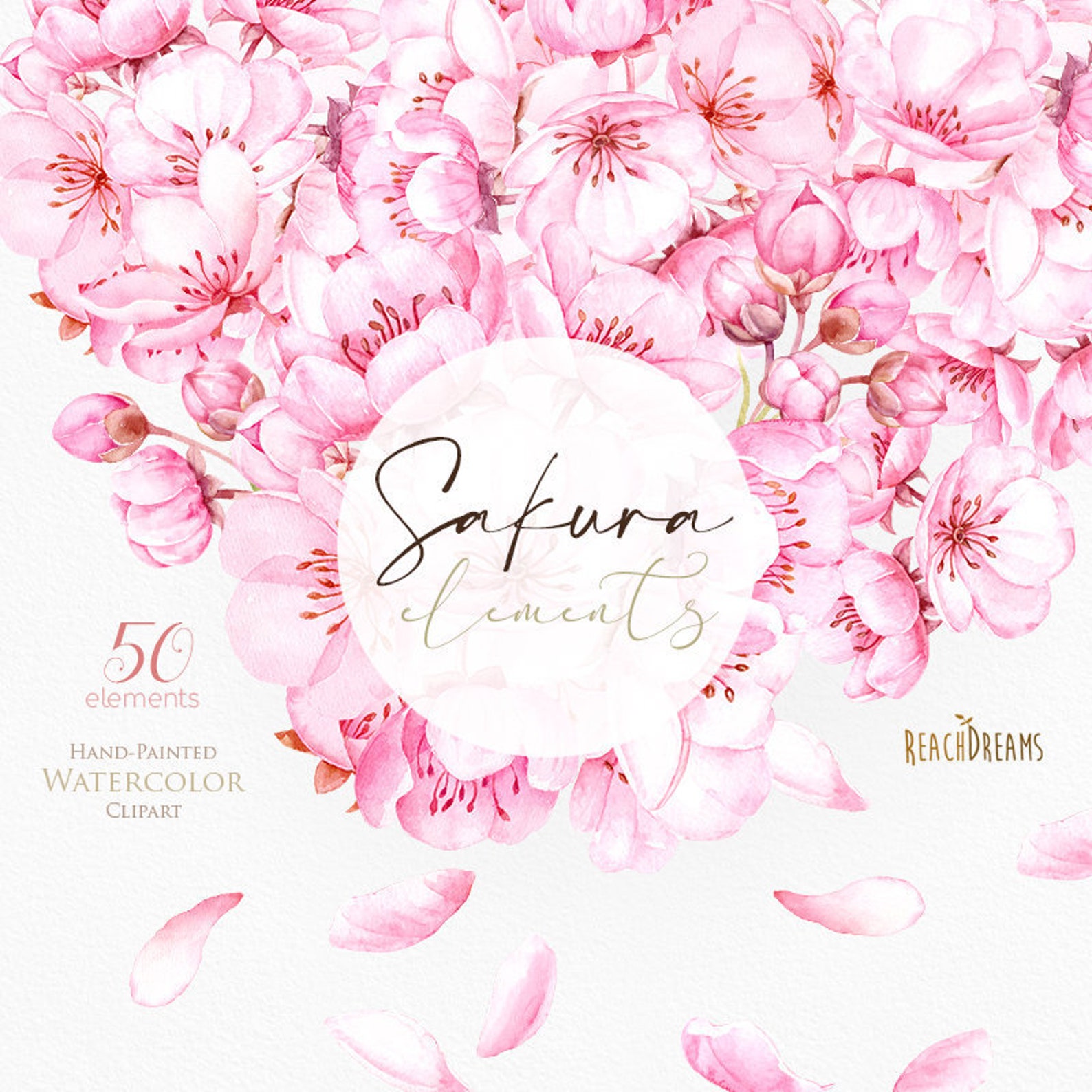 Sakura Elements. Watercolor Floral Clipart, Cherry Blossom, Pink ...
