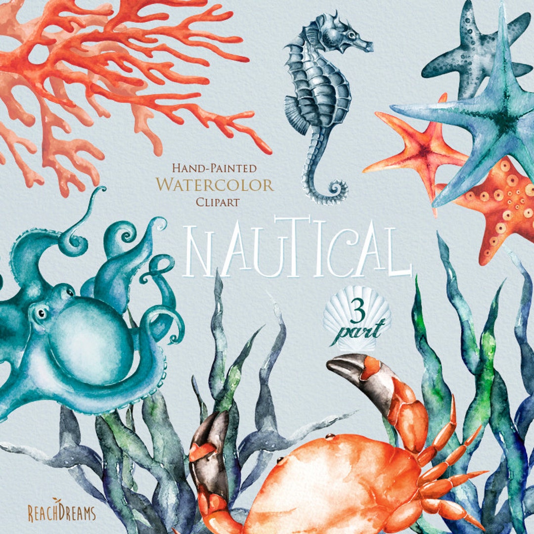 Nautical Watercolor Clipart. Marine. Ocean. Individual PNG Elements ...