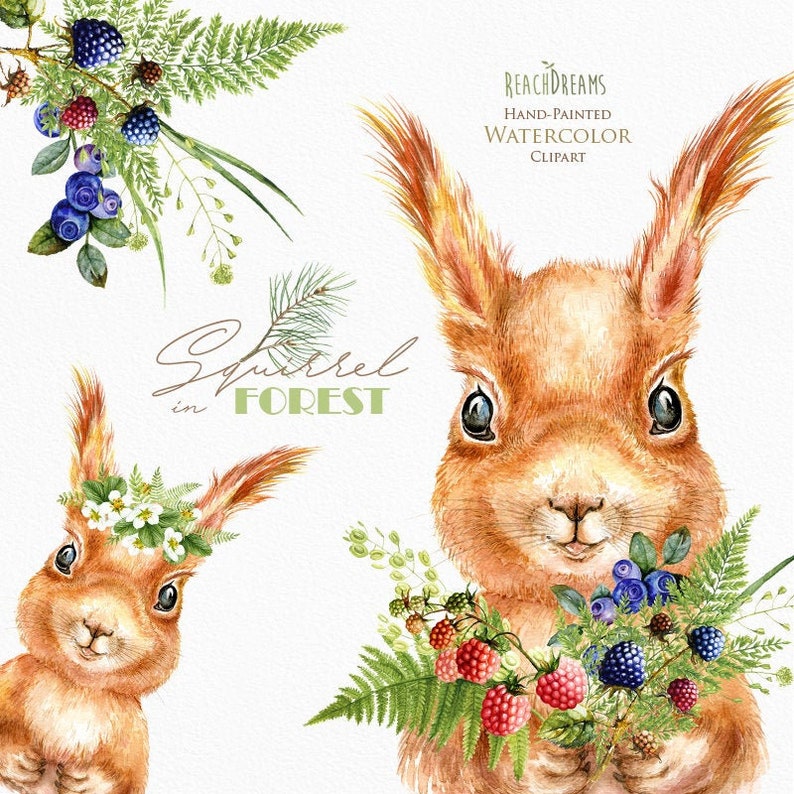 Little Squirrel. Watercolor Animals Clipart, Woodland, Forest, Flowers ...