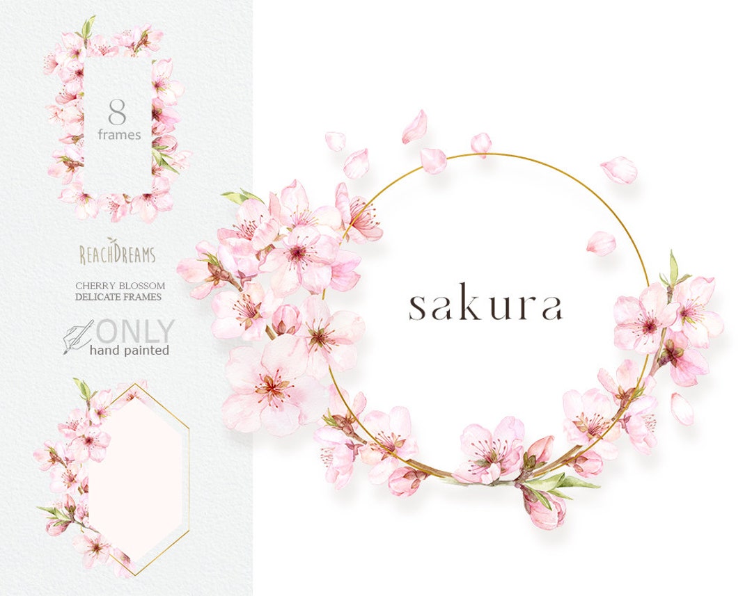 Watercolor Cherry Blossoms Clipart, Sakura Clipart, Floral Frames ...