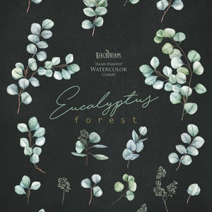 Eucalyptus. Watercolor Floral Clipart. Individual Elements. Green ...