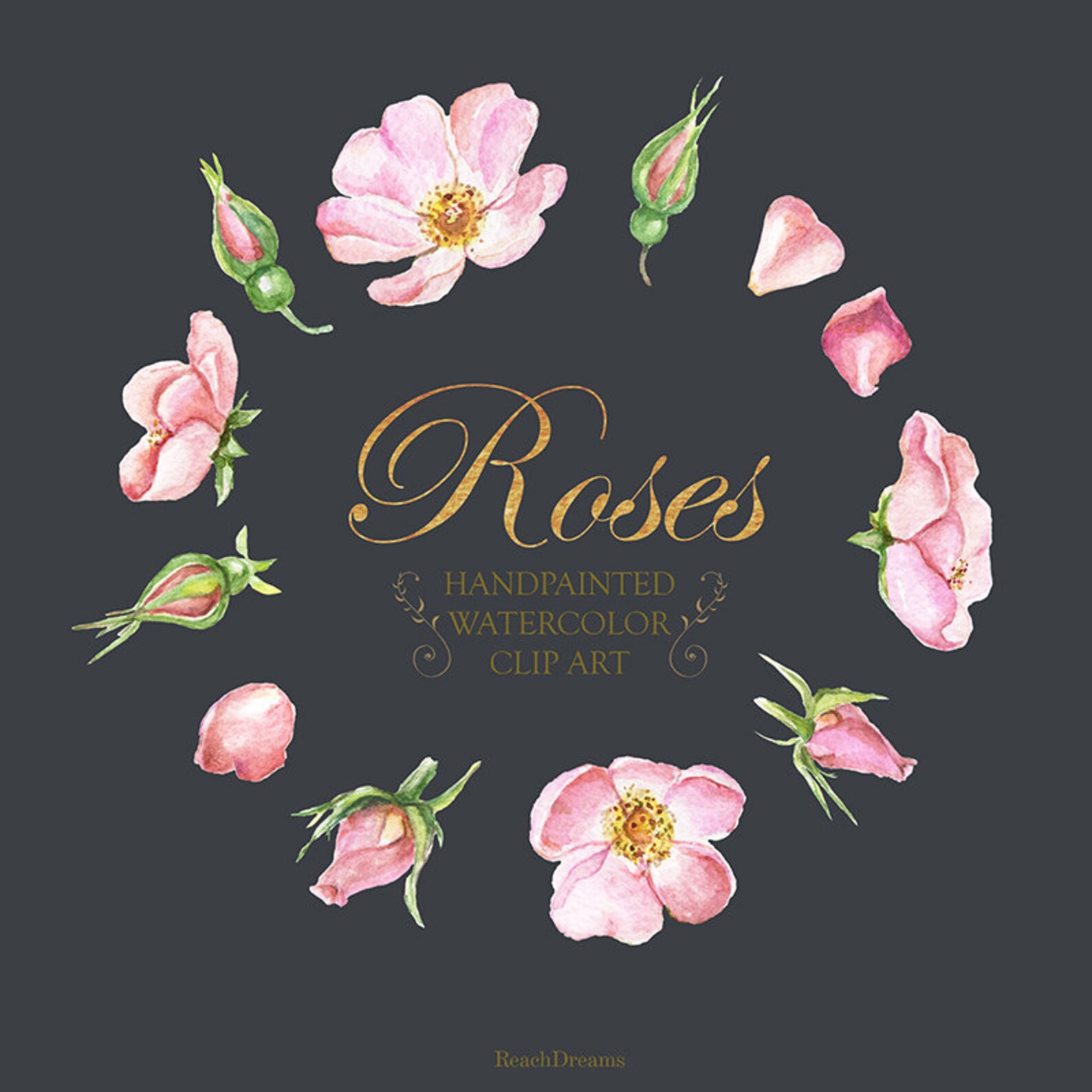 Roses Watercolor Clipart. Hand Painted Flowers, Vintage Wedding, Shabby ...