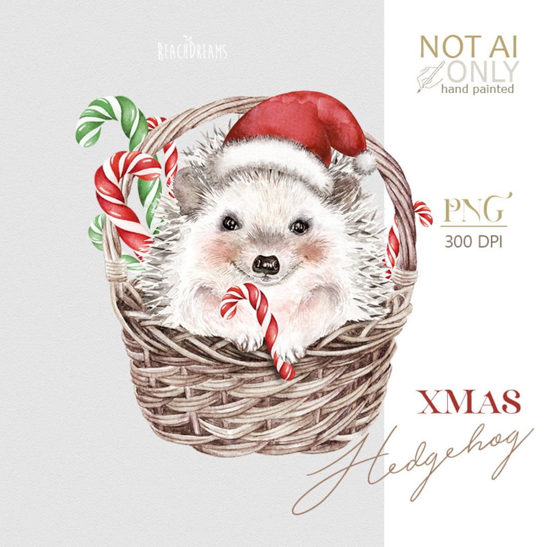 Watercolor Christmas Hedgehog, Cute Little Animals, Nursery PNG XMAS ...