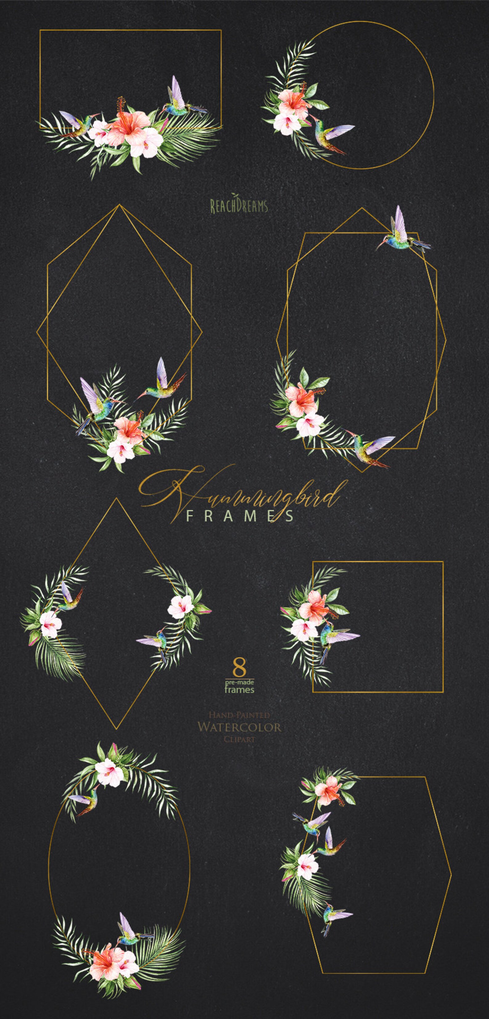 Hummingbirds Frames Watercolor Clipart Geometric Exotic - Etsy