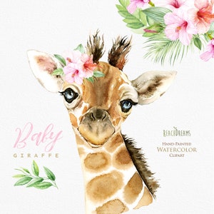 Watercolor Giraffe. Little Animals Clipart, Babies Portrait, Africa ...