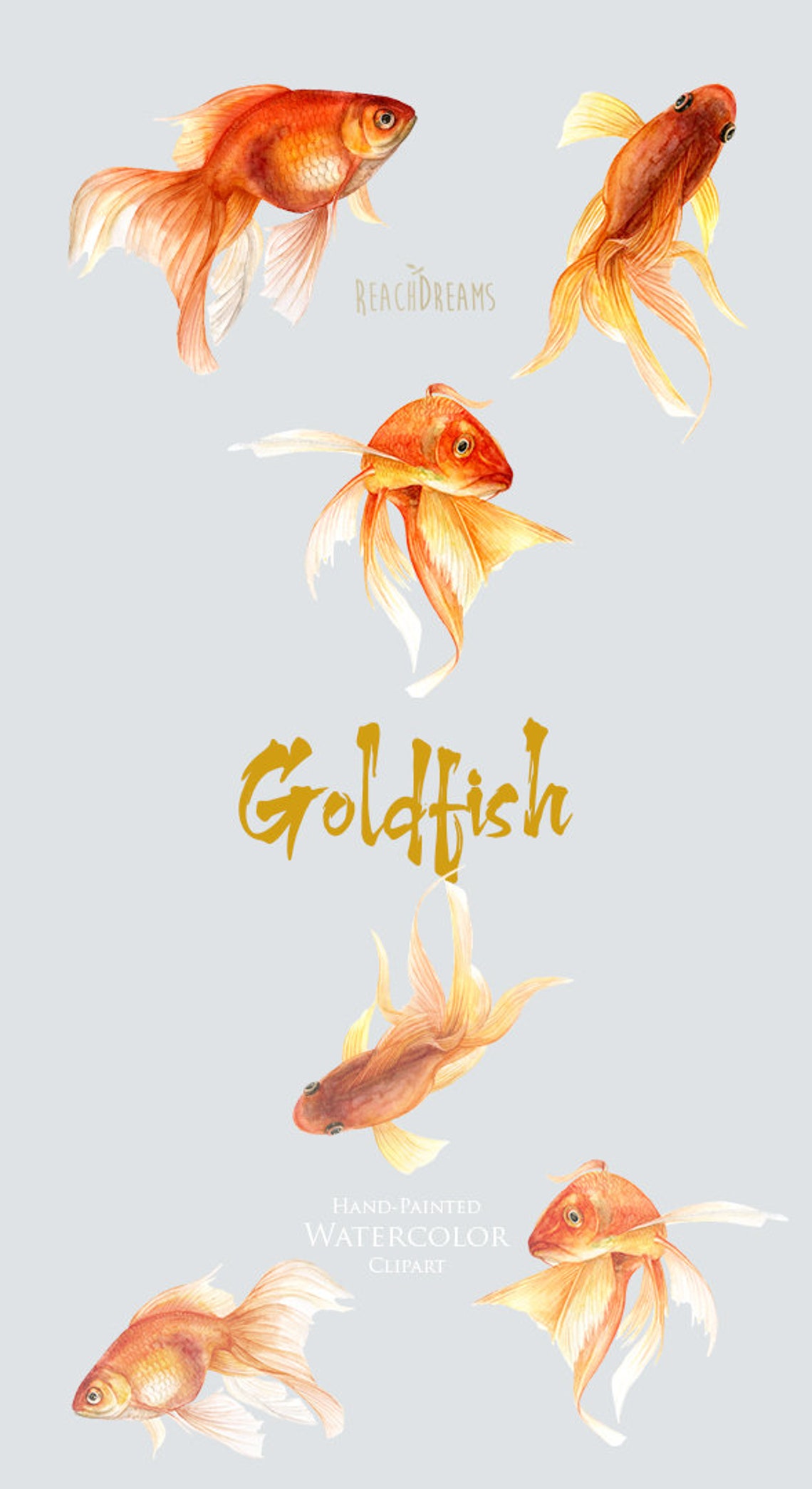 Goldfish Watercolor Clipart Aquarium Clip Art Fish Clipart | Etsy