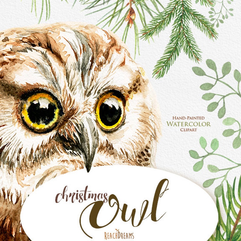 Christmas Watercolor Owl Happy holidays green spruce briar | Etsy