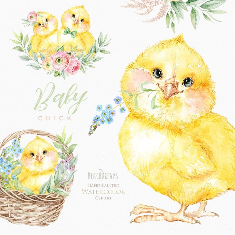Watercolor Chick Clipart Little animals Floral Spring | Etsy