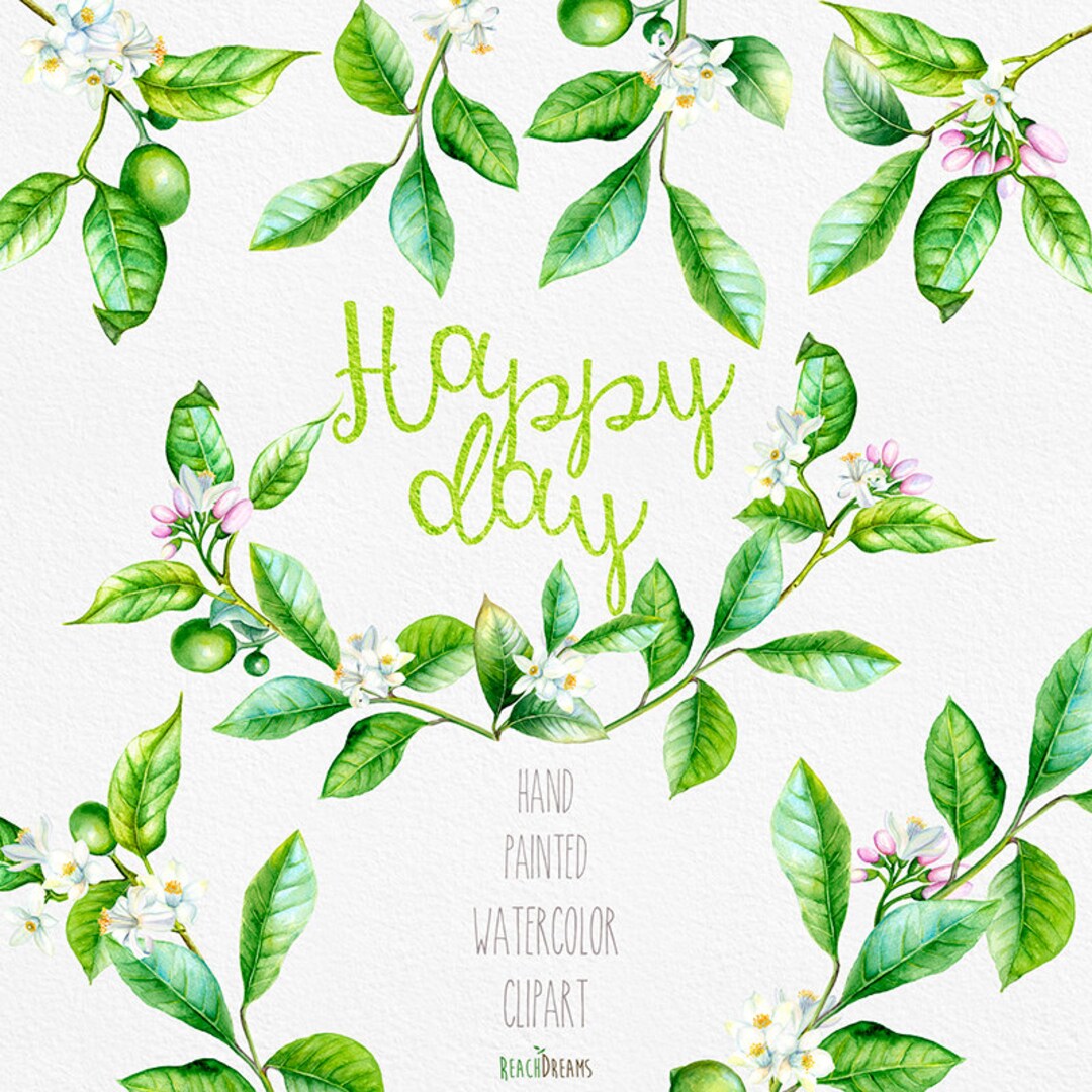 Blossom Lemon Watercolor Clipart. Hand Painting Fruit, Lime, Kitchen ...