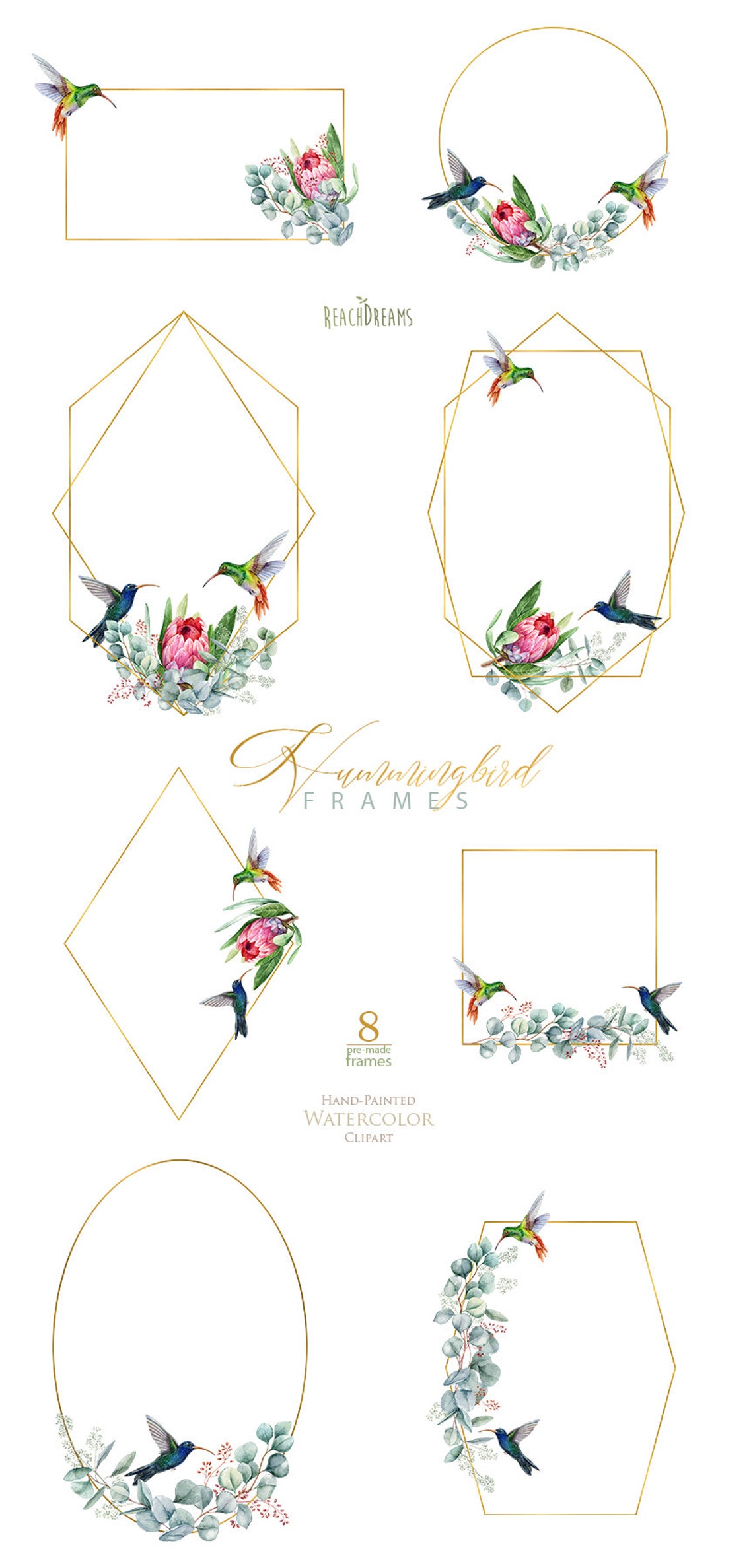 Hummingbirds Frames Watercolor Clipart Geometric Exotic - Etsy