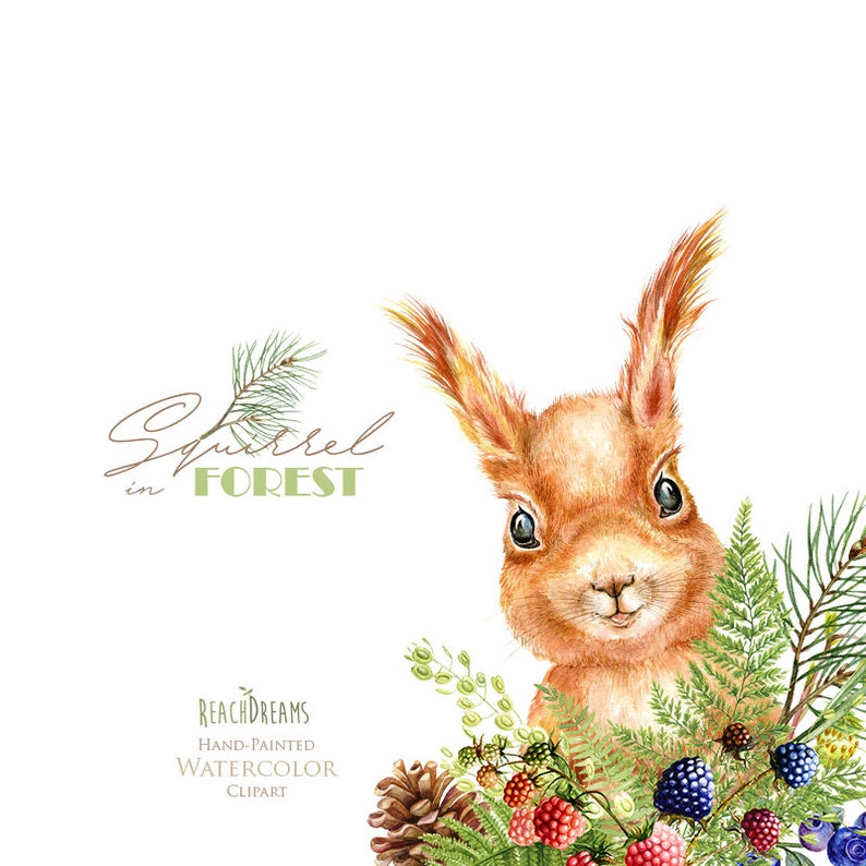Little Squirrel. Watercolor Animals Clipart Woodland Forest - Etsy