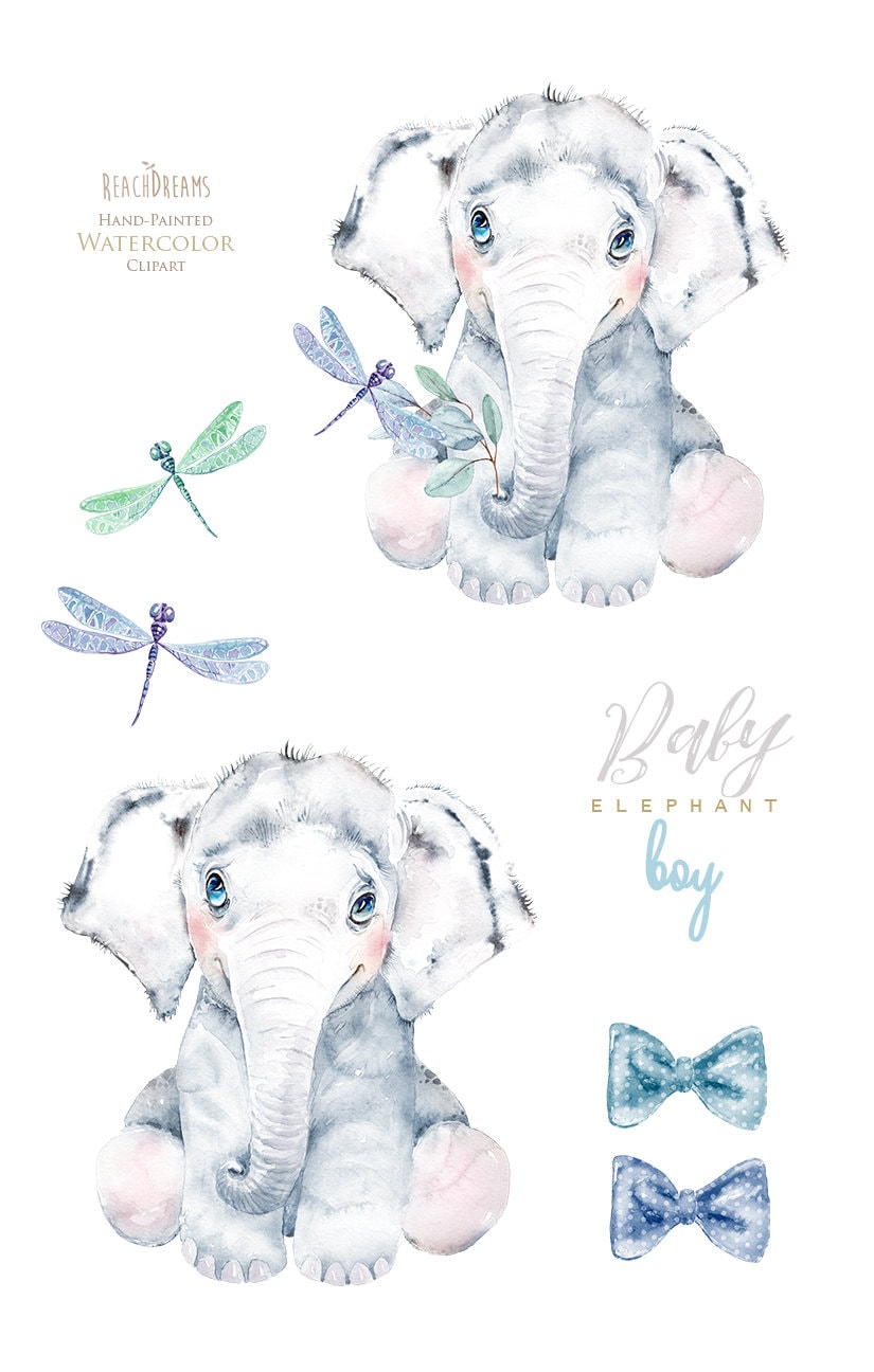 Watercolor Elephant, Boy, Little Animals Clipart, Babies Portrait, Cub ...