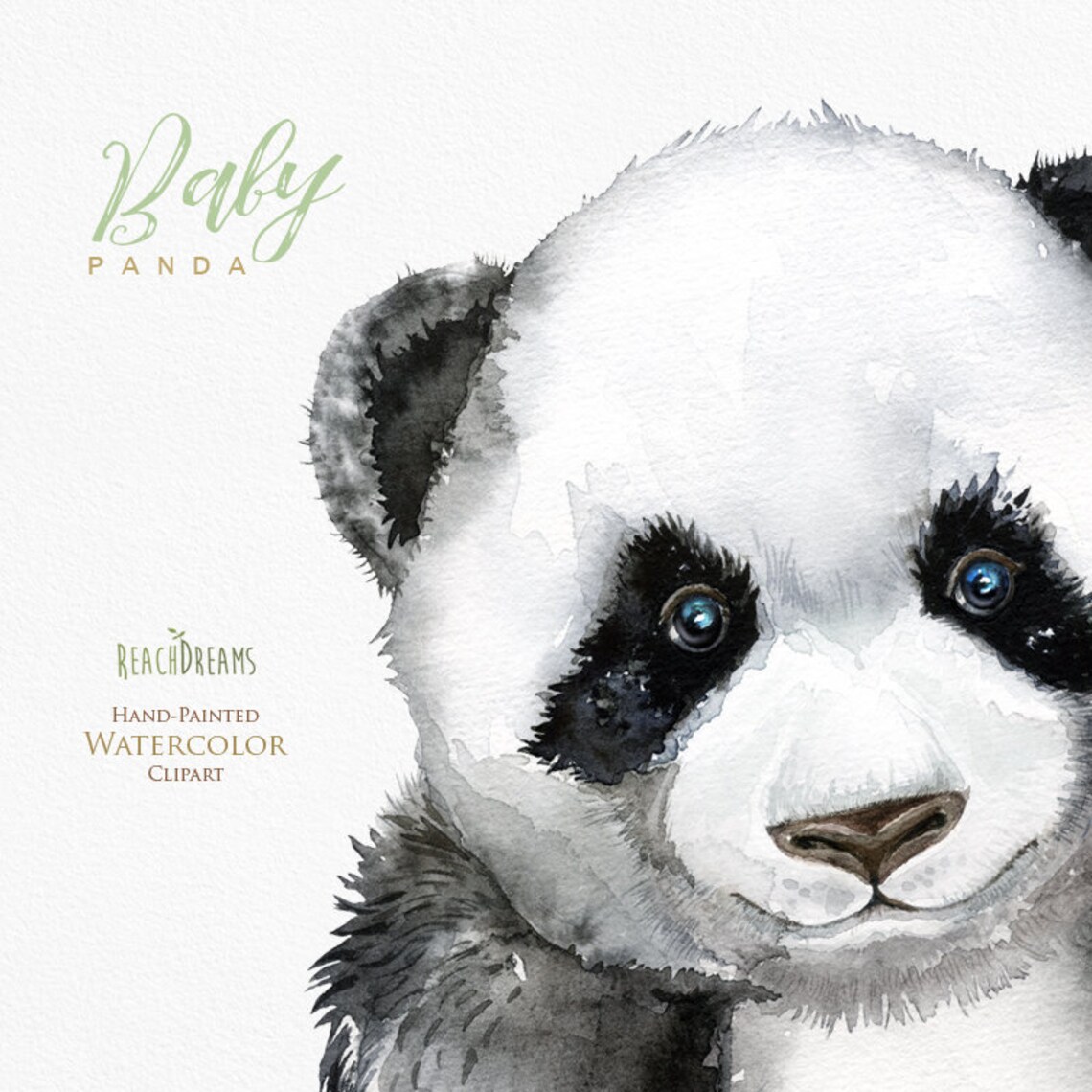 Watercolor Panda, Little Animals Clipart, Babies Portrait, Cub, Tropics ...