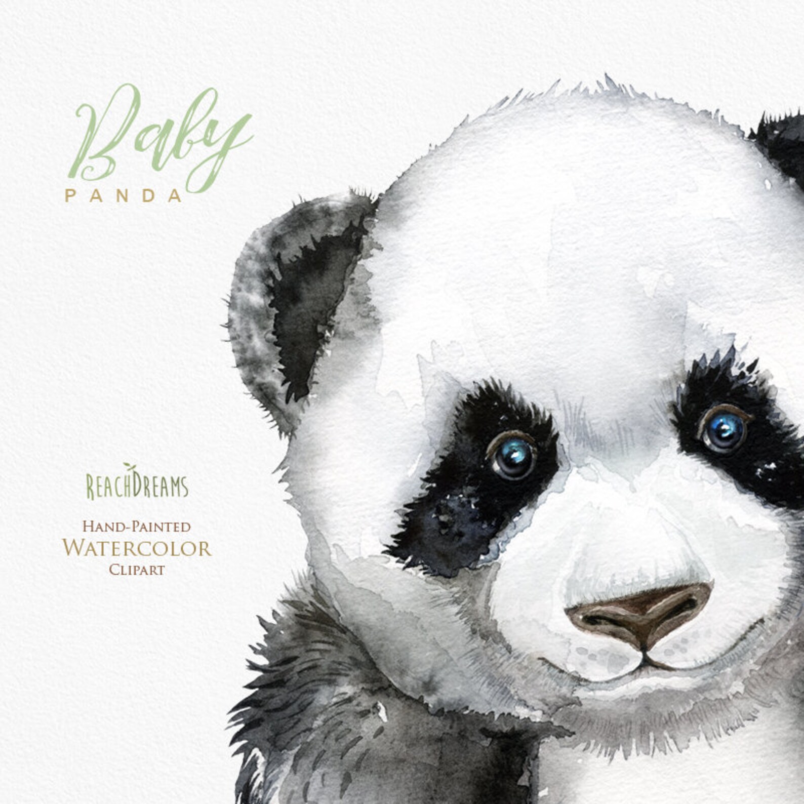 Watercolor Panda Little Animals Clipart Babies Portrait | Etsy
