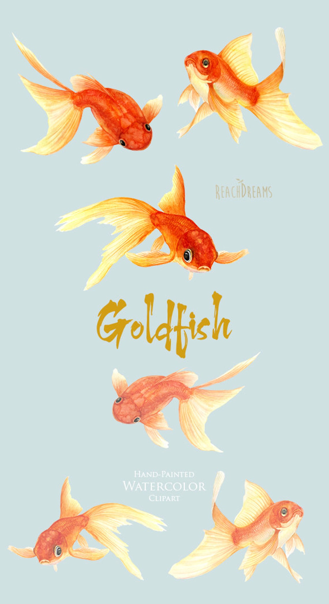 Goldfish Watercolor Clipart Aquarium Clip Art Fish Clipart | Etsy