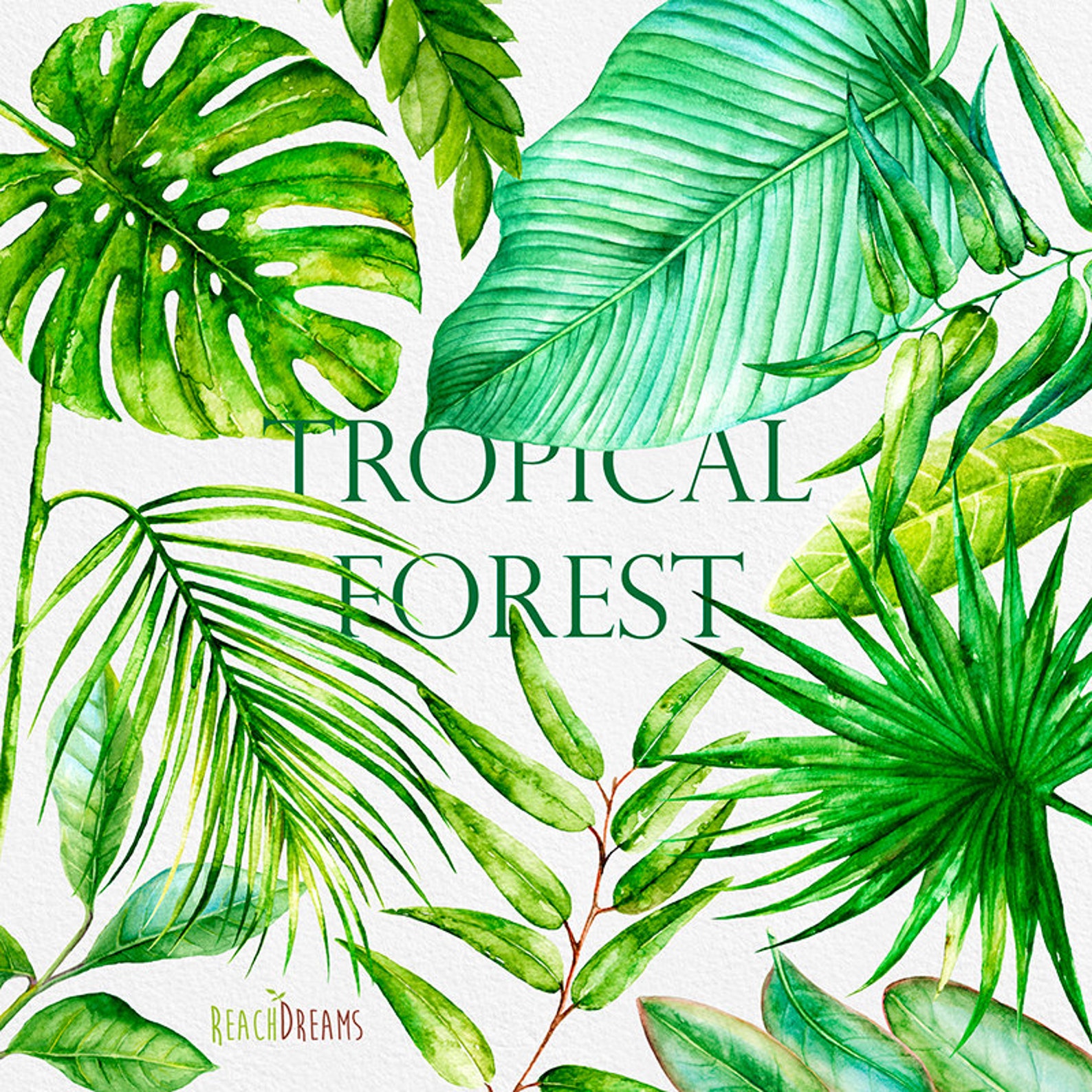 Watercolor Tropical Bright Leaves. Handpainted clipart | Etsy