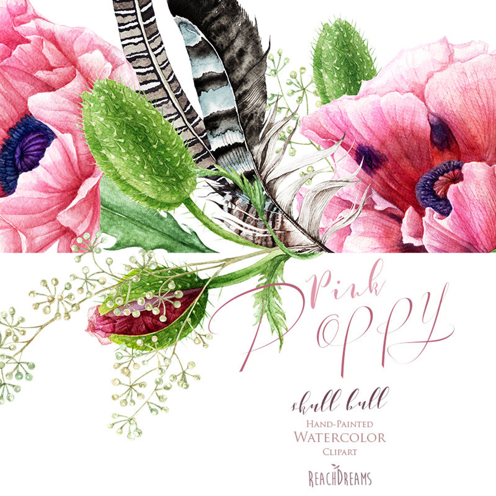 Watercolor Skull Bull Pink Poppy, Handpainted Frames, Poppies Flowers ...