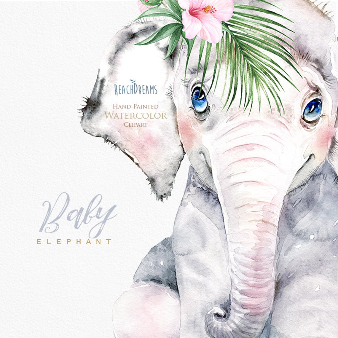 Watercolor Elephant Little Animals Clipart Babies Portrait - Etsy