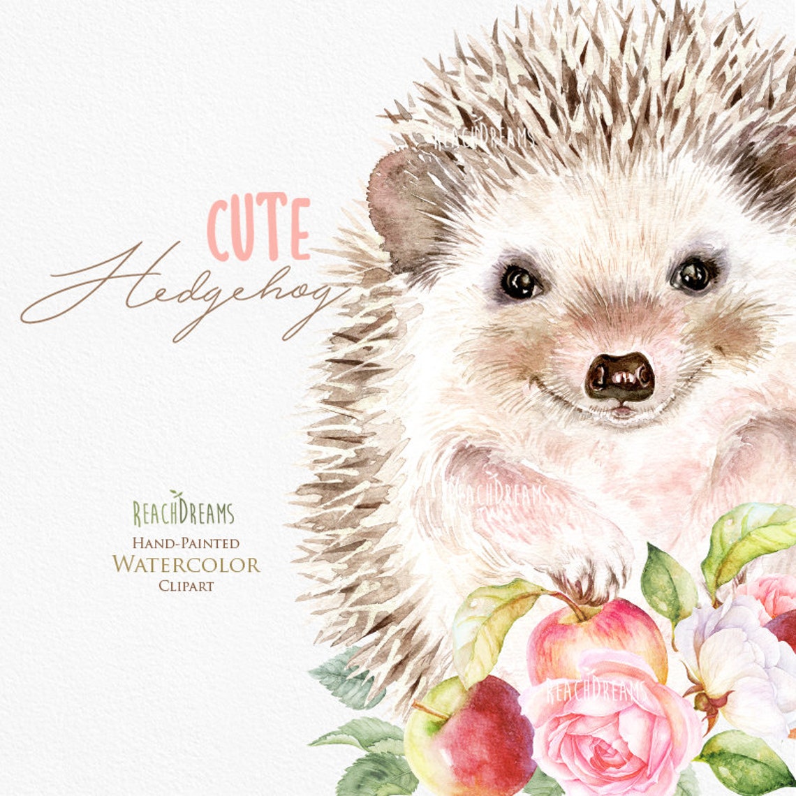 Hedgehog Cute Little Animals Watercolor Clipart Nursery - Etsy