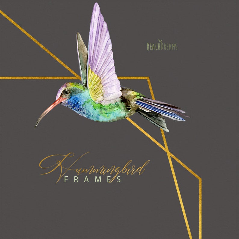 Hummingbirds Frames Watercolor Clipart Geometric Exotic - Etsy