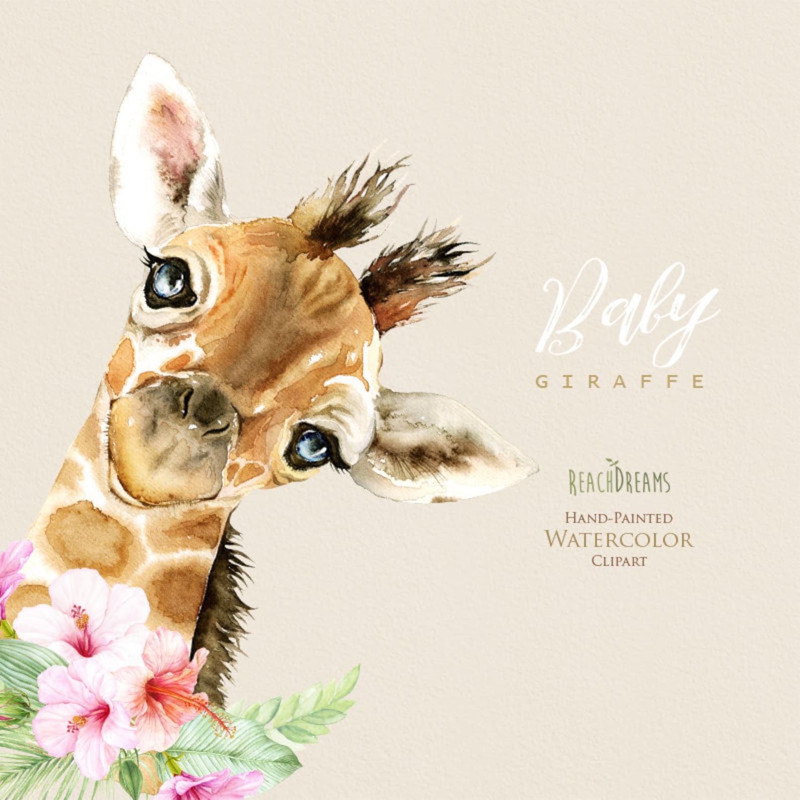 Watercolor Giraffe. Little Animals Clipart Babies Portrait - Etsy